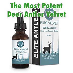 The Most Potent Deer Antler Velvet Extract - Highest Potency of IGF-1