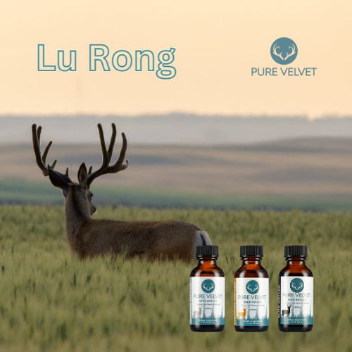 What is Lu Rong?