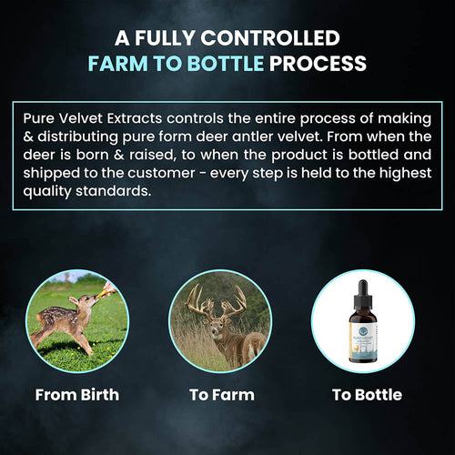 Best Selling Deer Antler Velvet Supplement